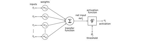 types of activation functions in neural network by vivekpandian analytics vidhya medium