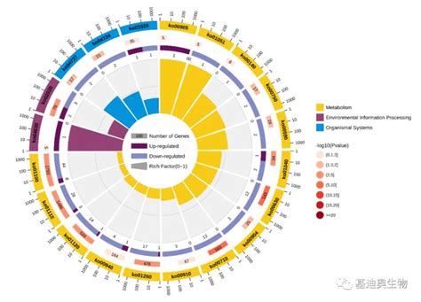 r语言的ggplot2做共线性结果可视化 大数据 亿速云