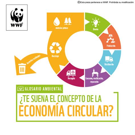 Glosario ambiental Qué es la economía circular WWF