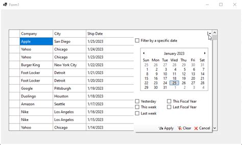 how to create a custom data filter for a winforms datagrid componentone
