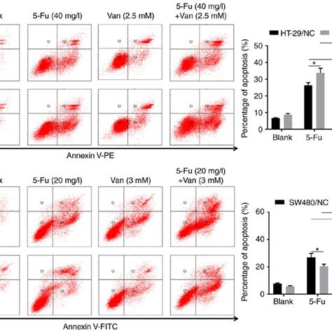 Vanillin Combined With Fu Induces Cell Apoptosis In Crc Cells Crc