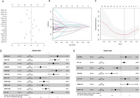 construction of two risk score models a bayesian spike and slab lasso download scientific