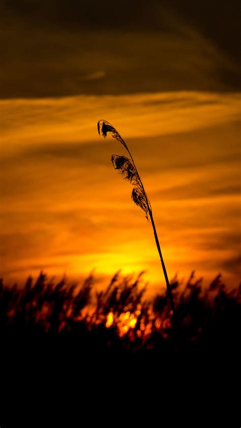 91 Besten Hintergrundbilder fürs Handy