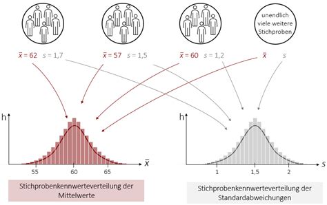 Parameterschätzung Statistik Grundlagen