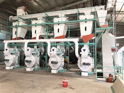 Usine et usine de traitement de granulés de bois de Chine Achetez une