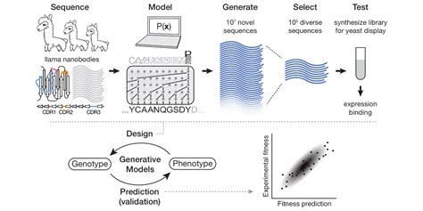 Github Debbiemarkslab Seqdesign Protein Design And Variant