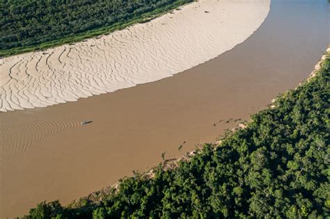 Garimpo no Juruá no Amazonas impacta manejo de pirarucu de
