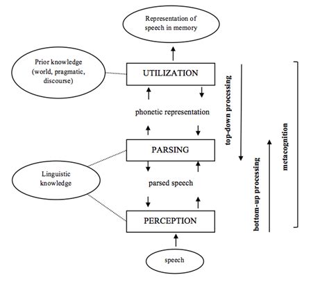 1 cognitive processes and knowledge sources in l2 listening download scientific diagram