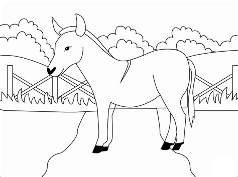 Desenhos De Burros Para Colorir Pintar E Imprimir ColorirOnline