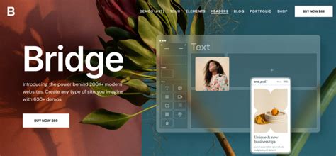 Best Bridge Theme Alternatives You Should Know Quadlayers