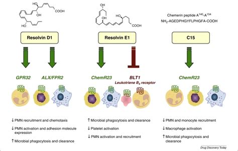 Resolution Of Inflammation Targeting Gpcrs That Interact With Lipids
