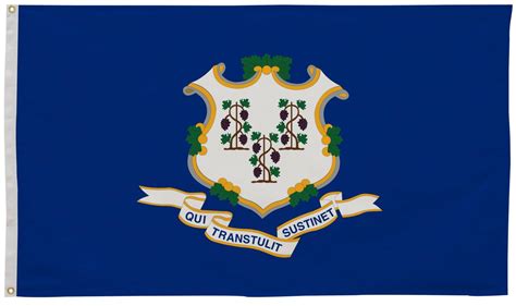 Connecticut State Flag 5 X 8 Connecticut Flag State Of