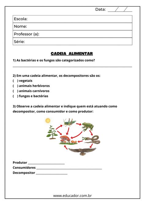 Atividades Sobre Cadeia Alimentar Para Ano Educador