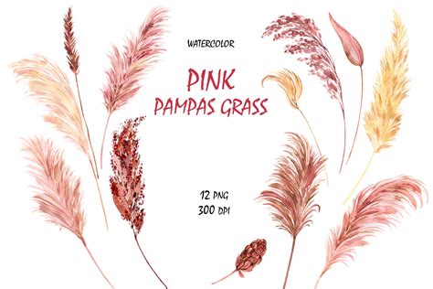 Watercolor Pampas Grass Clipart Boho PNG Graphic By TWatercolor
