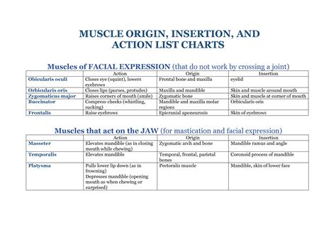 Origin And Action Of Muscles Chart Ponasa