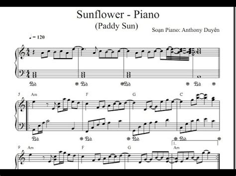 Sunflower Paddy Sun Piano Cover Youtube