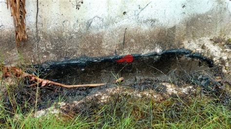 Pemex atendió escurrimiento natural de aceite Enteratever