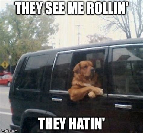 They See Me Rollin They Hatin Meme