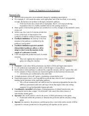 Chapter 18 Docx Chapter 18 Regulation Of Gene Expression Bacterial