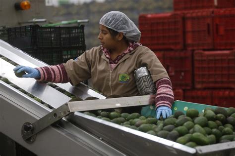 Producción de alimentos en México crecerá para 2023