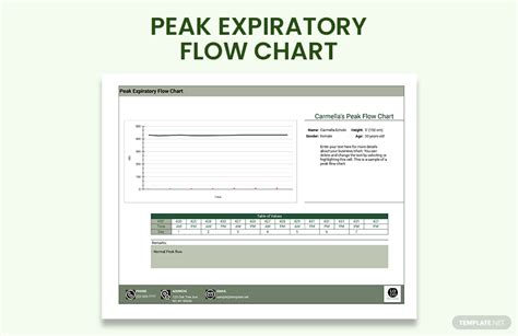 Asthma Peak Flow Chart Google Sheets Excel Template Net