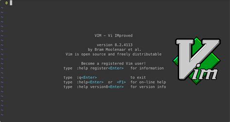 vim essentials for beginners your ultimate go to vim guide level up coding