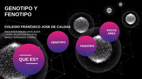 GENOTIPO Y FENOTIPO By Paula Malaver On Prezi