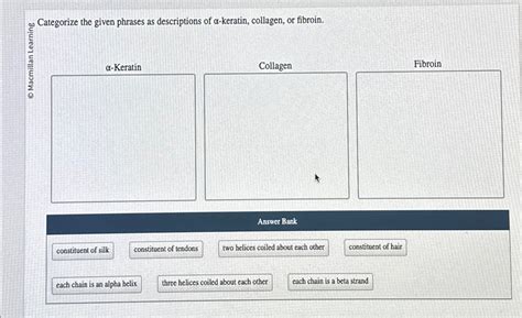 Solved Ategorize The Given Phrases As Descriptions Of Chegg