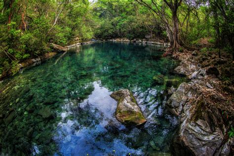 Reserva de la Biosfera El Cielo en Tamaulipas México Desconocido