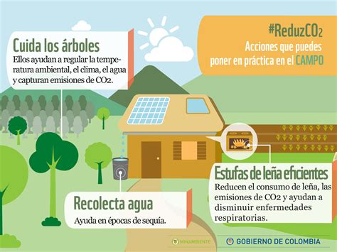 Acciones Cotidianas Que Contribuyen A Disminuir El Impacto Del Cambio