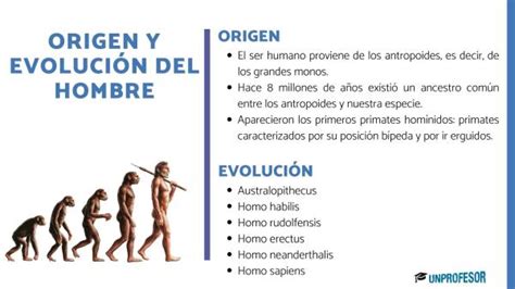 Origen Y Evoluci N Del Hombre Resumen