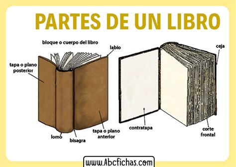 Estructura Y Partes De Un Libro Images And Photos Finder