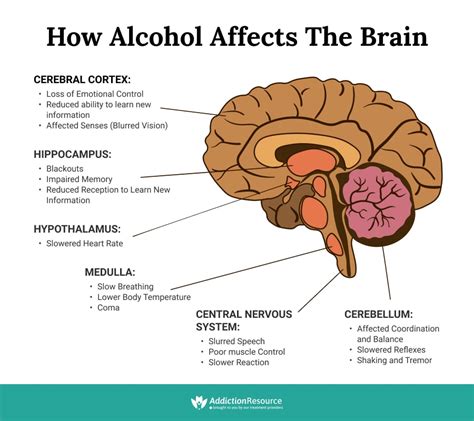 Alcohol Effects On Brain Telegraph