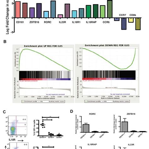 CD161 CD8 T Cells In Cord Blood Have Broad T Cell Receptor Usage