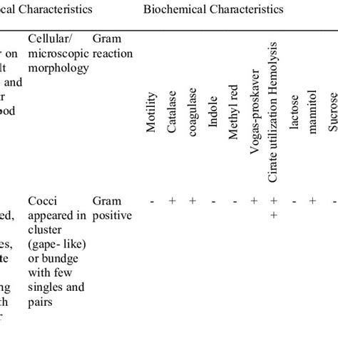 Morphological And Biochemical Characteristics Of Presumptive