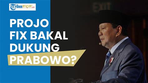 Jelang Rakernas Projo Bocorkan Capres Yang Didukung Fix Dukung