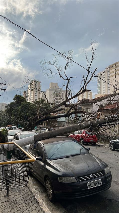 Árvore de grande porte cai derruba poste e 5 carros são atingidos na