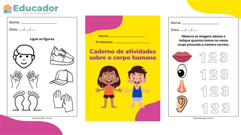 Atividades sobre corpo humano para educação infantil Educador