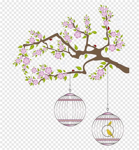 Gaiola Flor P Ssaro Arranjo De Flores Animais Png Pngegg The Best