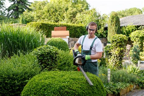 Devenir horticulteur Métier Études Salaire Ifsa Nature