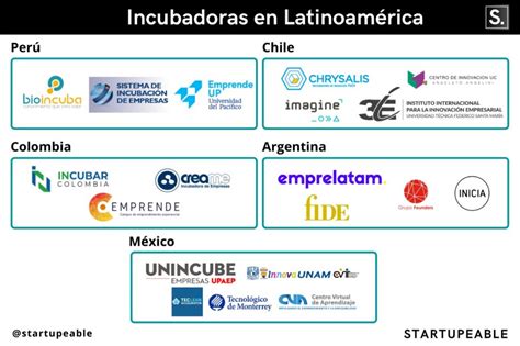 Qué es una incubadora de empresas y cómo funcionan Startupeable
