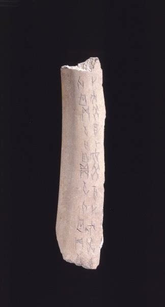 Huesos del oráculo Orígenes e historia
