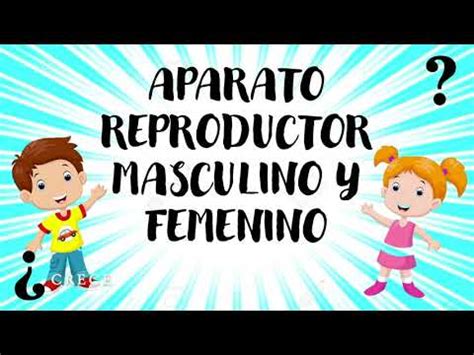 TOMi Digital Ciencias 6B Pubertad Y Sistemas Reproductores 28 04