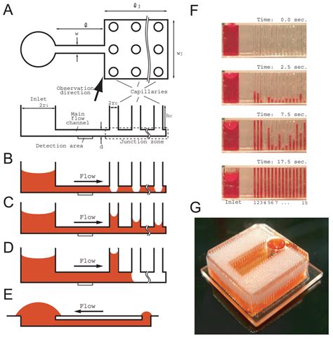 Sensors Free Full Text Cooperative Suction By Vertical Capillary