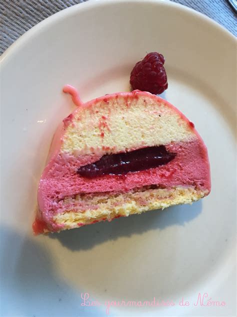 Bûche vanille framboise glaçage miroir Les Gourmandises de Némo