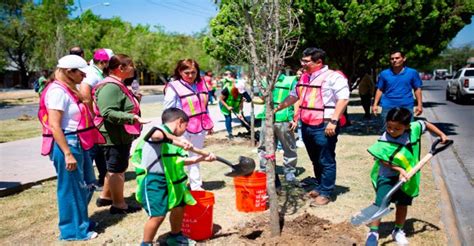 Concientiza gobierno de Guadalupe con siembra de árboles