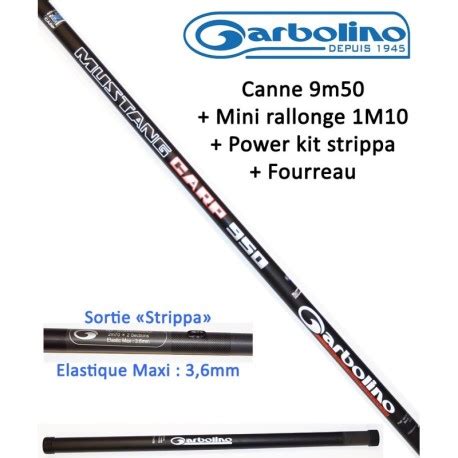 PACK COUP CARPE GARBOLINO MUSTANG CARP 9M50 MINI RALLONGE POWER KIT