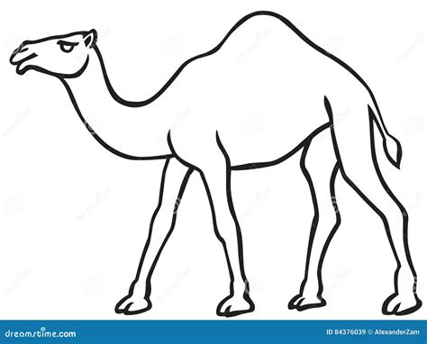 Icono Del Contorno Del Camello Ilustraci N Del Vector Ilustraci N De
