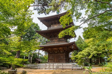 Gotokuji El Templo De Los Gatos Maneki Neko Japonismo