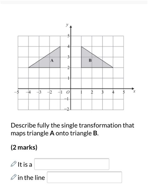 describe fully the single transformation that maps gauthmath